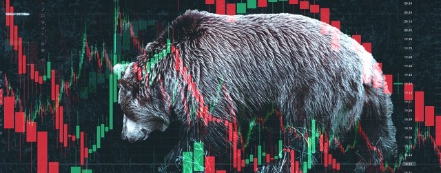 How to Weather a Bear Market